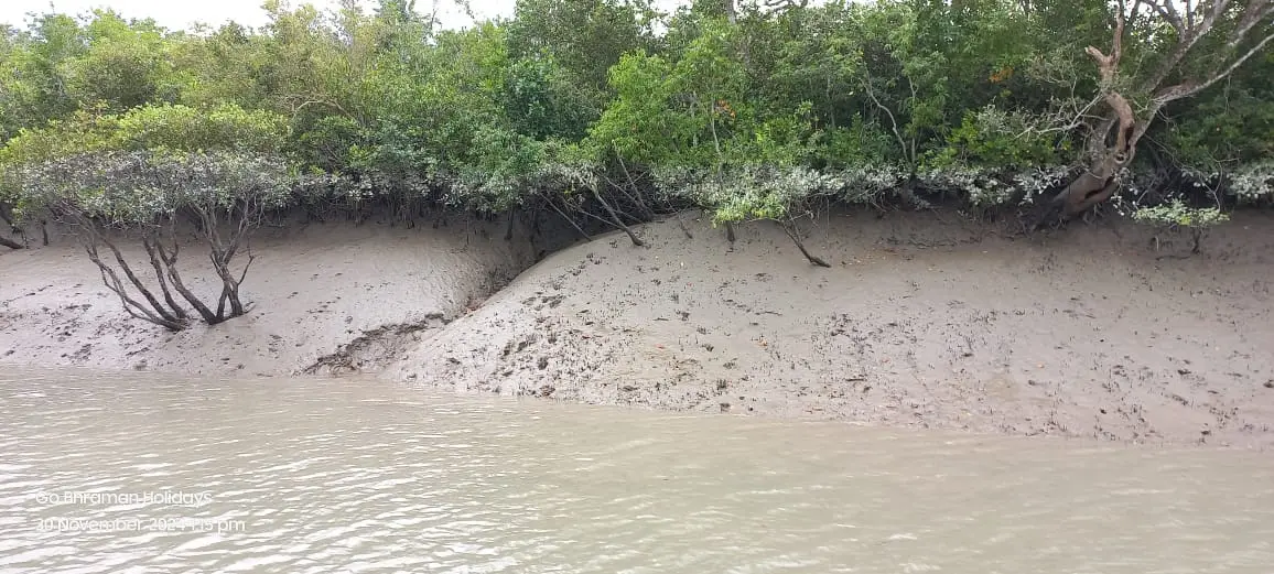 1 Day Tour Sundarban Package- Discover Beauty Of Sundarbans